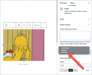 How To Fix "Gif Not Working" In WordPress (Easy Fix)