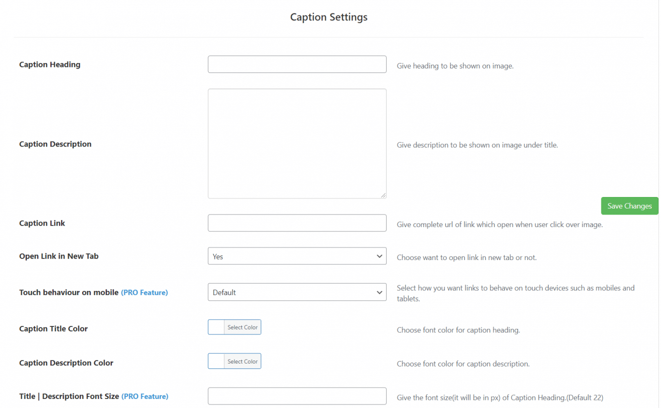 How to Add Image Hover Effects In WordPress (Step-by-Step)