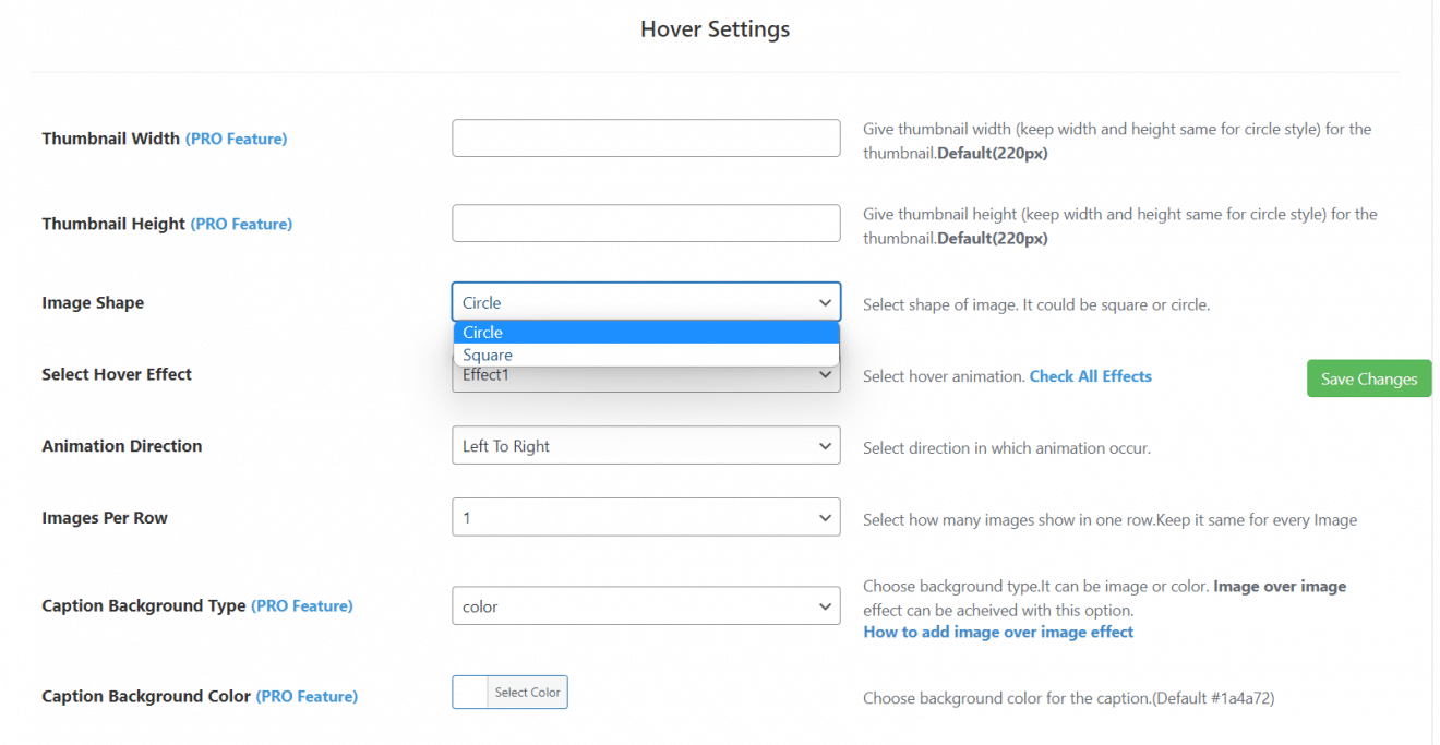 How to Add Image Hover Effects In WordPress (Step-by-Step)