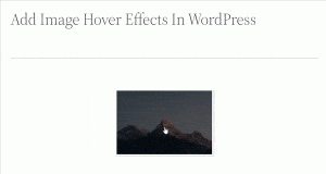 How to Add Image Hover Effects In WordPress