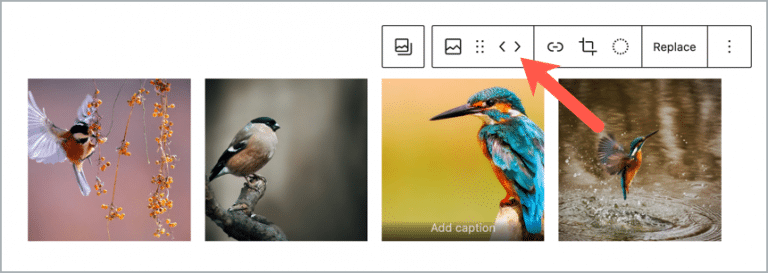 How to Put Images Side by Side in WordPress (Easy Ways)