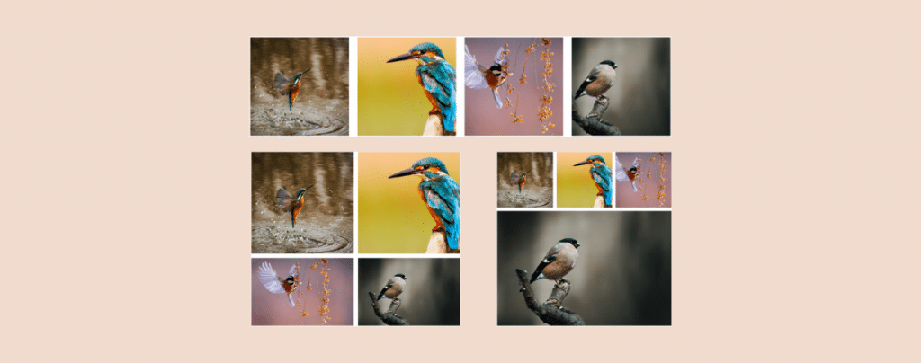  How To Put Images Side By Side In WordPress Gutenberg 