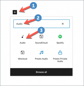 How To Add & Embed Audio In WordPress (3 Easy Ways)