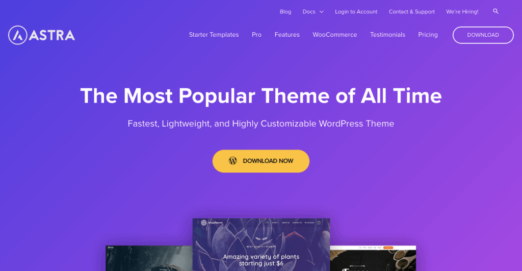 Top 10+ Most Popular WordPress Themes Of All Time (2023)