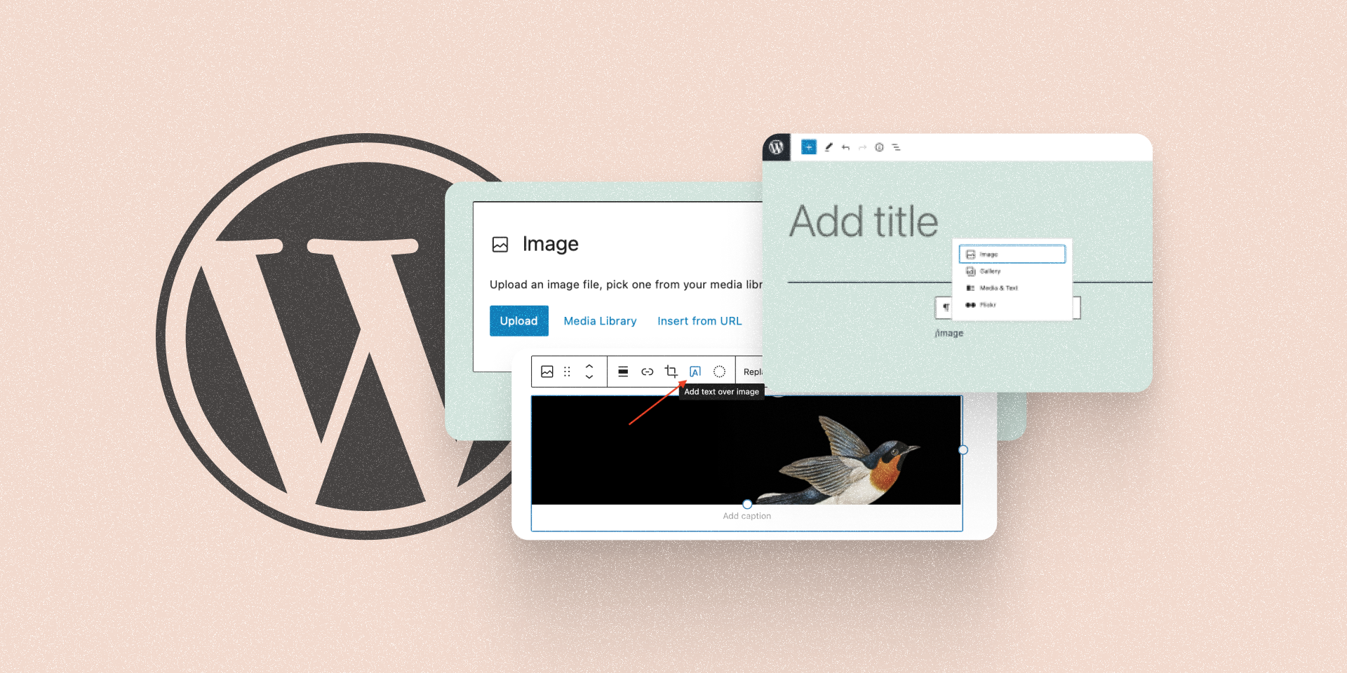 How to Use the WordPress Image Block (Gutenberg)