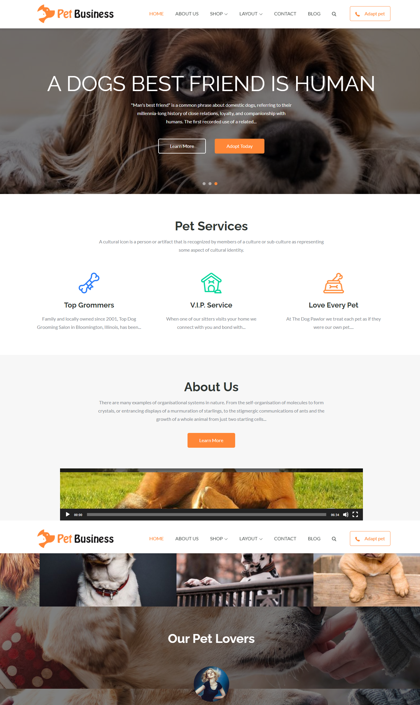 10 Best WordPress Pet and Animal Themes(Free & Paid) (2026)