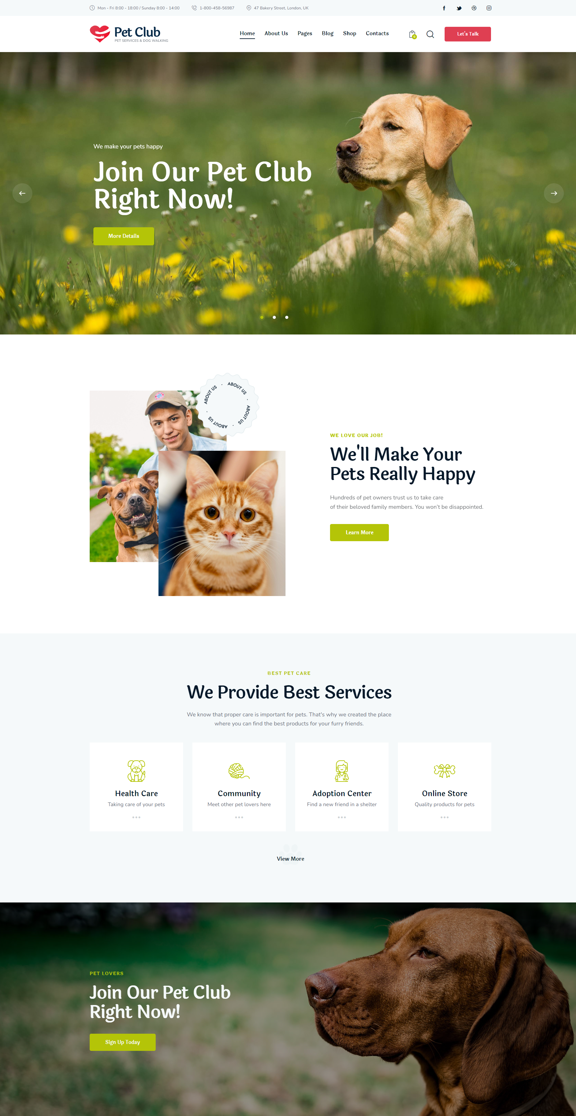10 Best WordPress Pet and Animal Themes(Free & Paid) (2026)