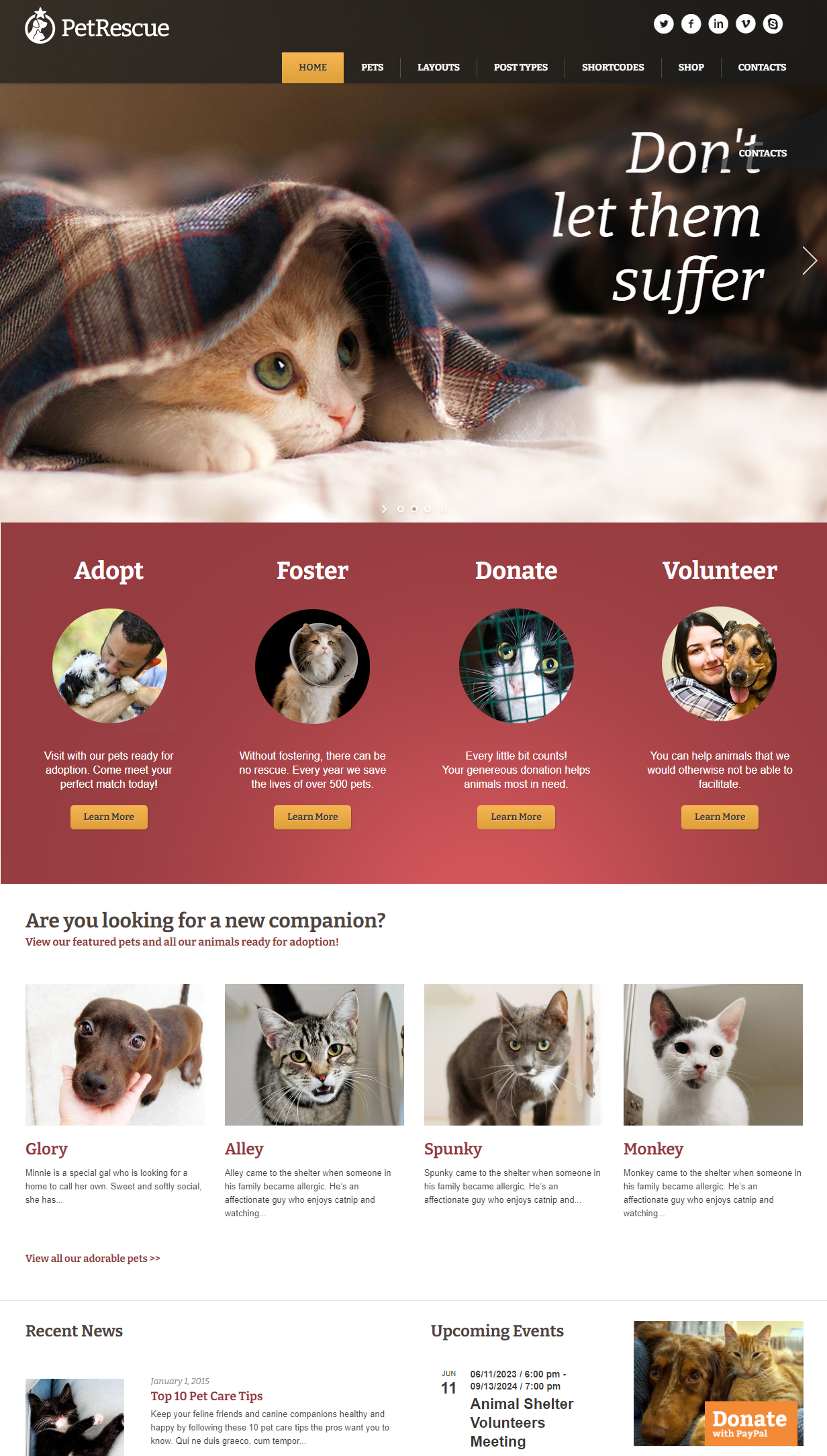 10 Best WordPress Pet and Animal Themes(Free & Paid) (2025)