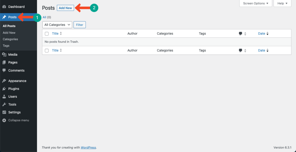 How to Add and Publish A New Post in WordPress