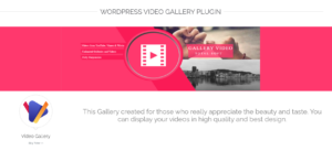 7 Best Video Gallery WordPress Plugins (All are FREE) 2025