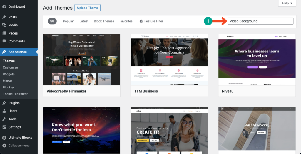 How to Add Video Background In WordPress