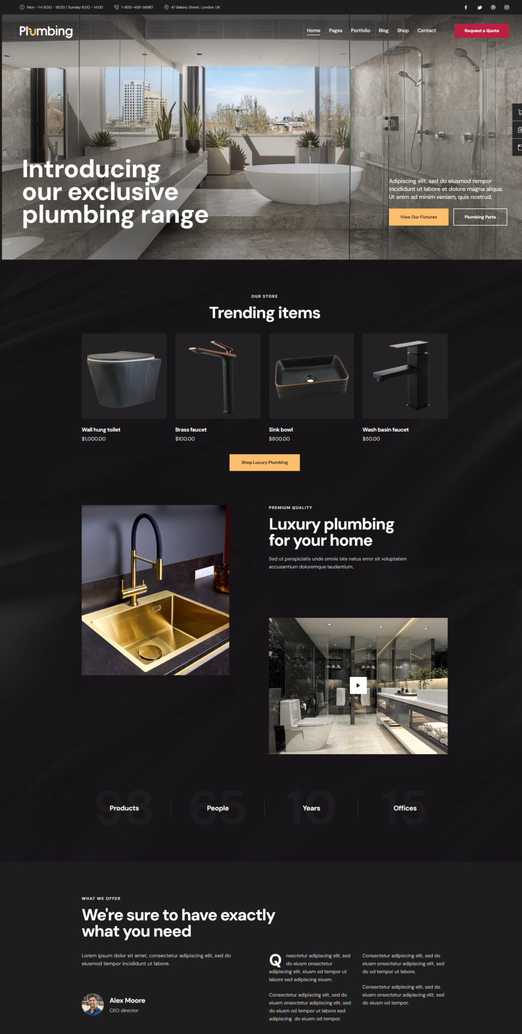 10 Best Plumber WordPress Themes (2025)