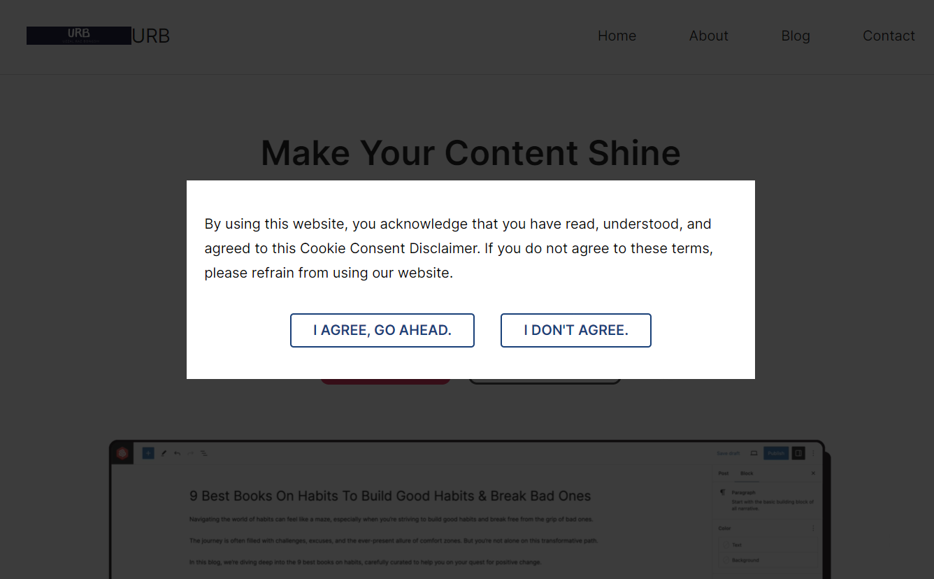 How to Automatically Add a Disclaimer in WordPress (In Seconds)