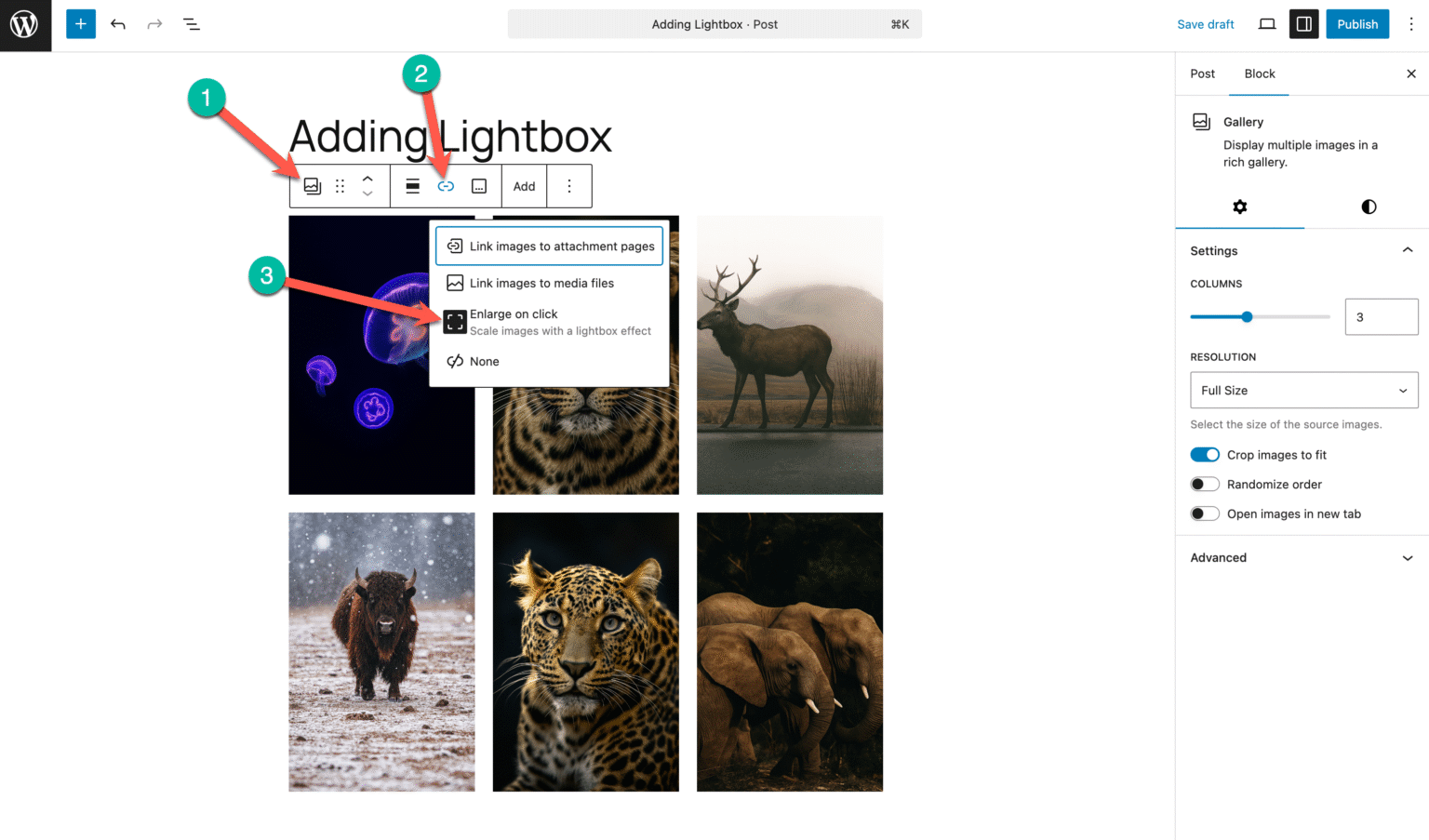 How to Add a LightBox in WordPress (With/out Using A Plugin)